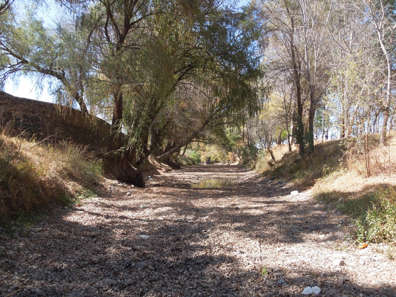 Vivencias: San Juan del Río, Querétaro.