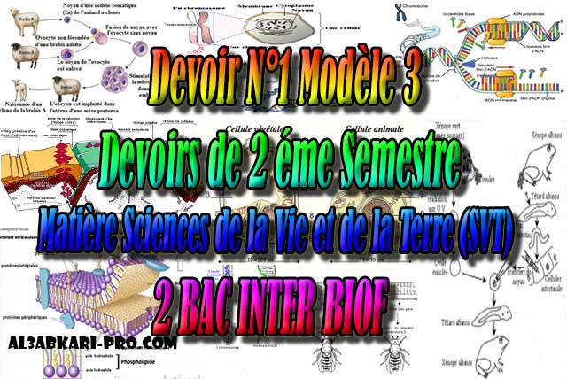 Devoir N°1 Modèle 3 de SVT 2 Bac SPC Biof 2 éme Semestre PDF