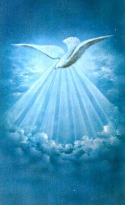Sacred Sharings For The Soul: The Holy Spirit; A Holy Light Of Love. By ...