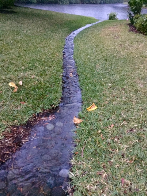 Wildewood Wonders: Stormwater drain path lined with stones