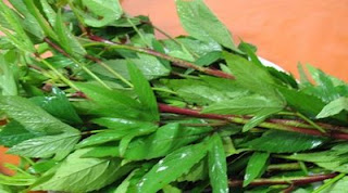 As of Now: Usage of Keerai and How to Live Longer healthily?