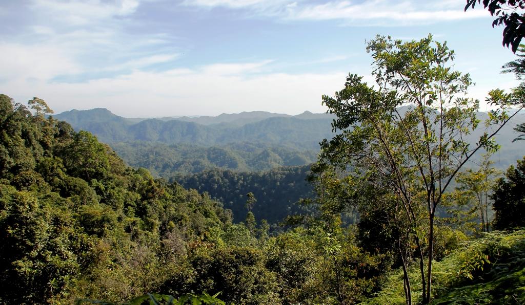 Inilah Ekspedisi Gunung Djadi "Gunung Pertama" di Riau - Kompasiana.com