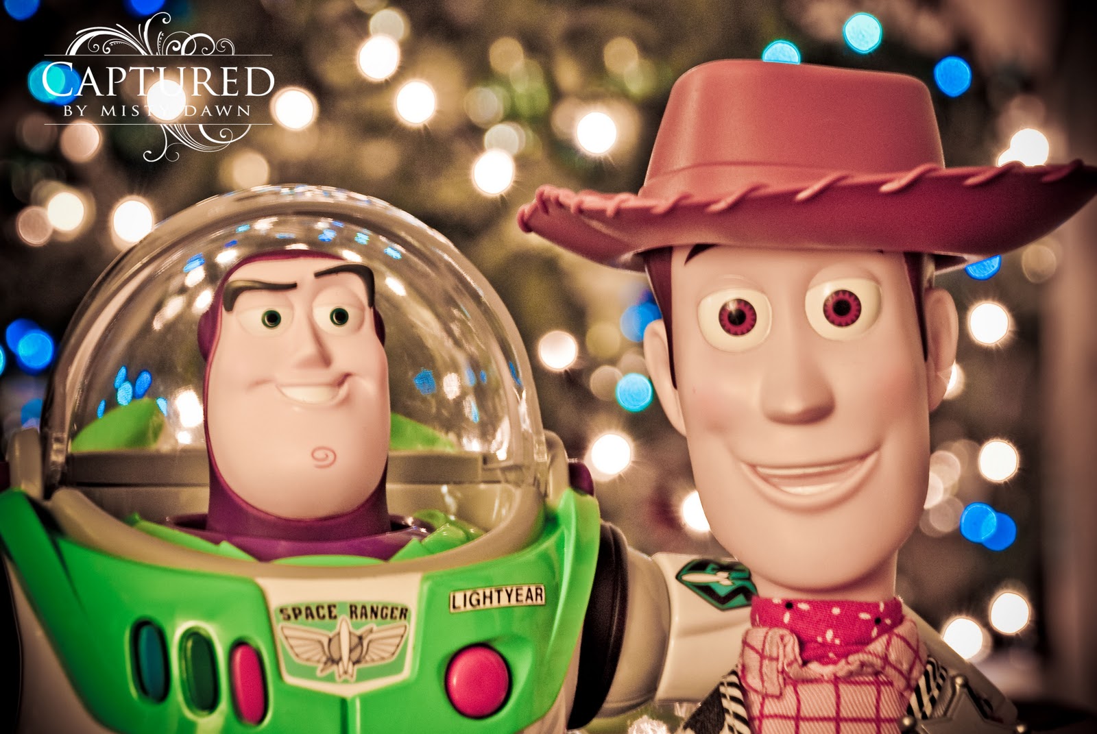 Through A Photographer's Eyes: Day 359 - Merry Christmas - Toy Story Style