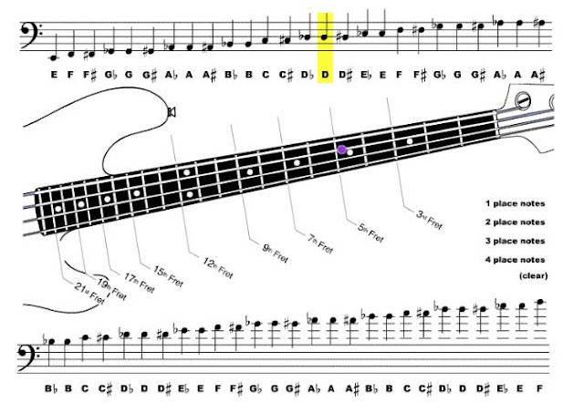 ¿Por qué debes memorizar las notas en el diapasón de tu bajo?