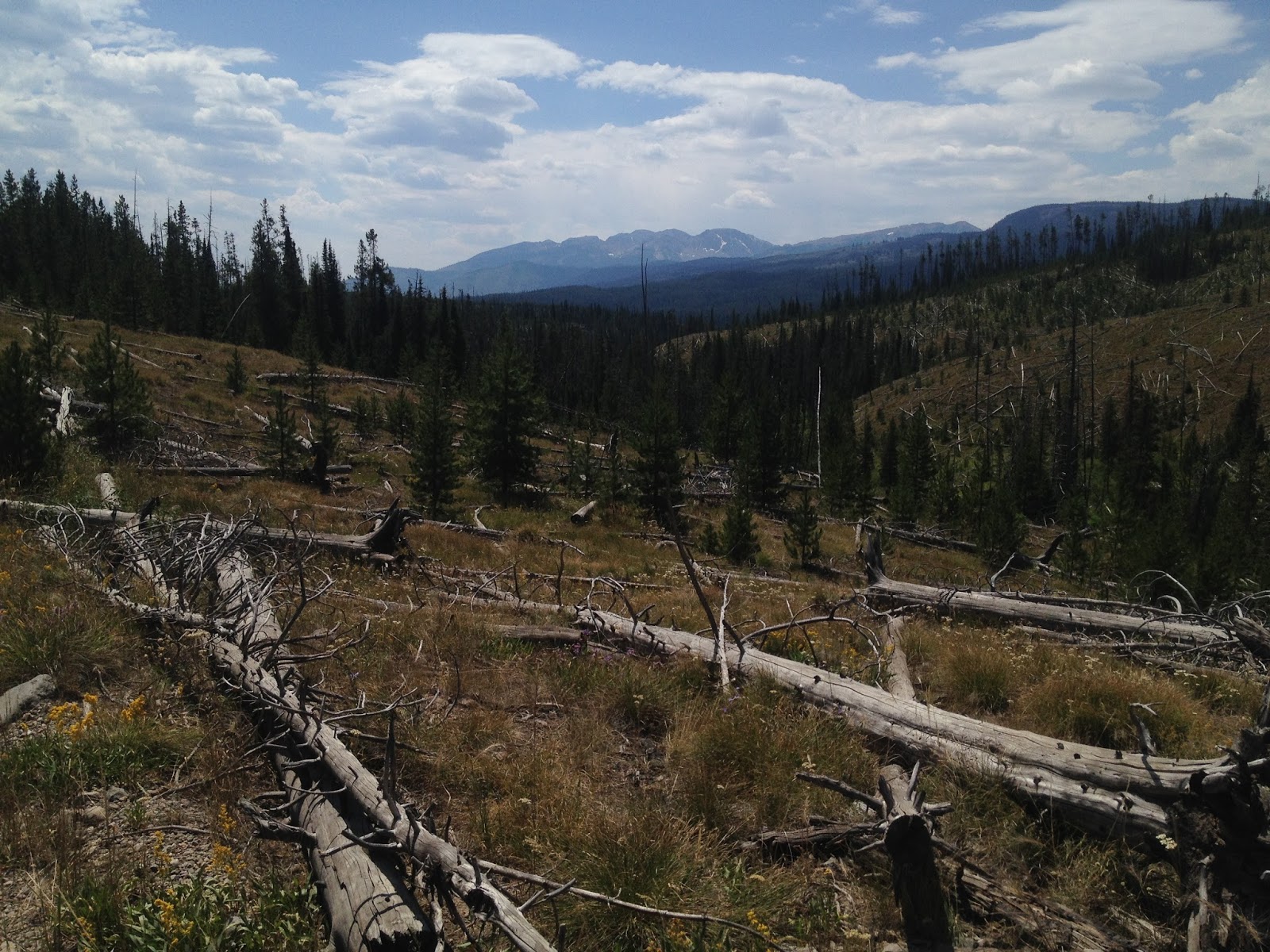 Mark Rides the Divide : Colter Bay @ Grand Tetons