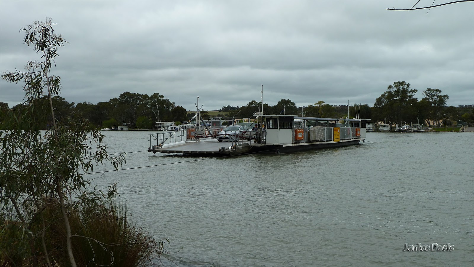thoughts & happenings: Murray River at Mannum, South Australia