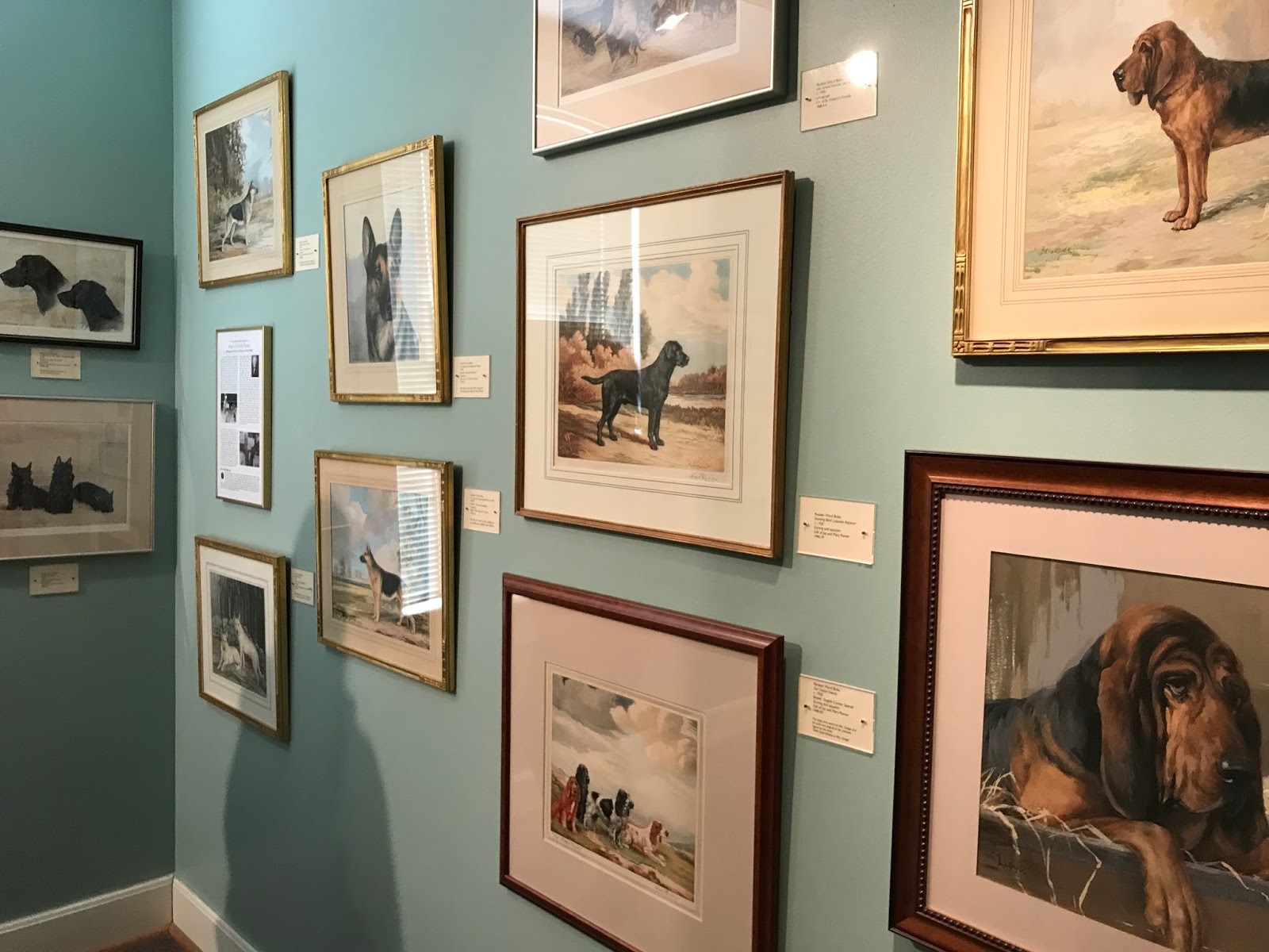 St. Louis Museums: American Kennel Club Museum of the Dog