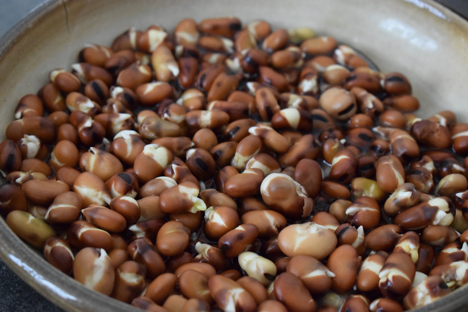 Egypt's magical bean: Ful Nabet and Shorbit Ful Nabet (sprouted bean ...