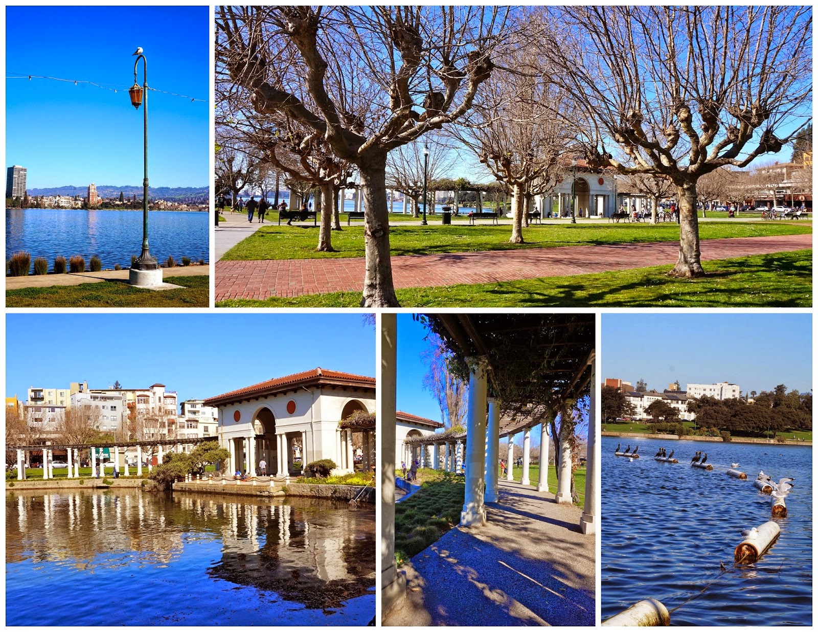 Day trip to Lake Merritt - by sacer - ~ Traveler in California