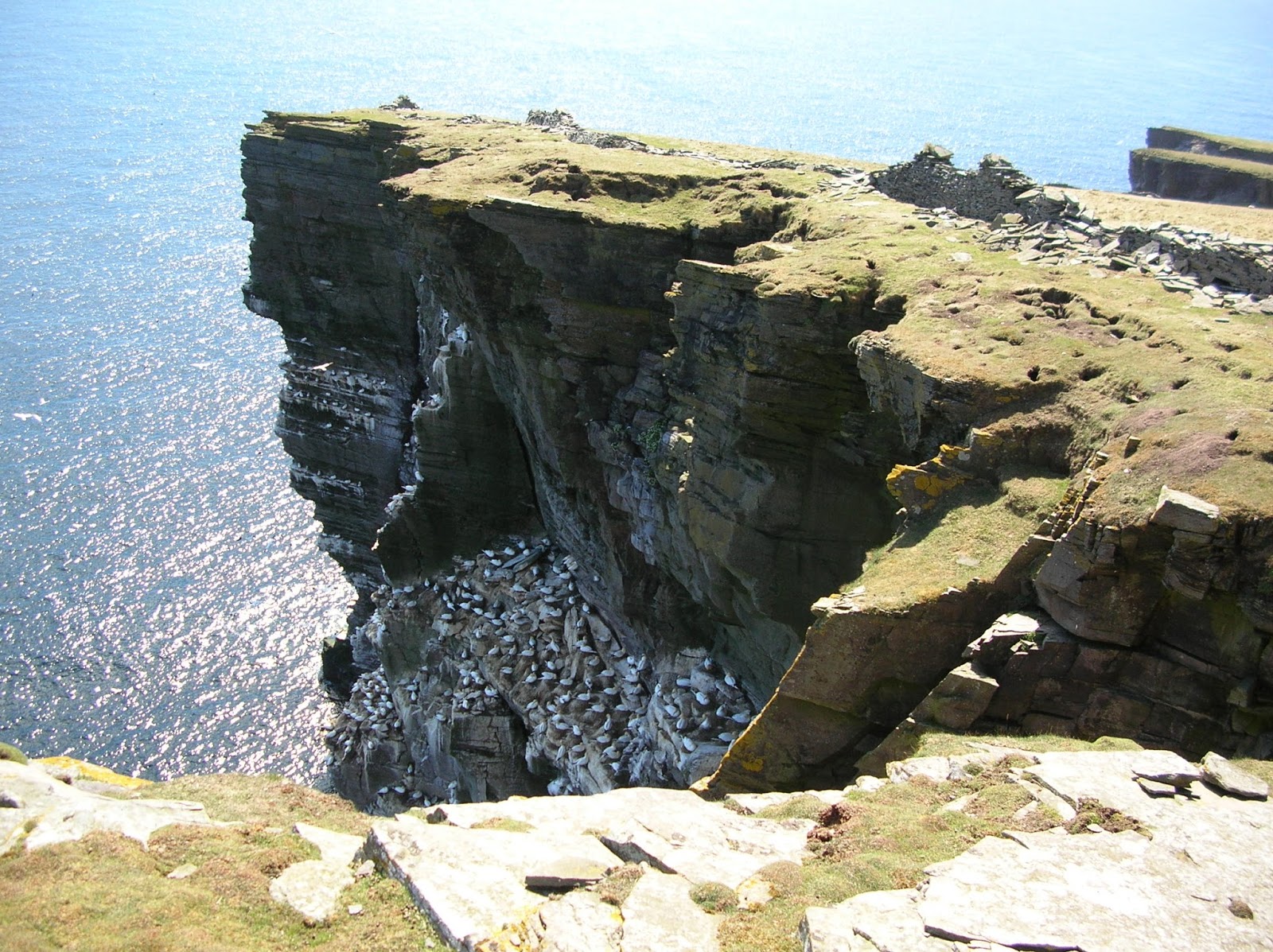 A lifetime of Islands: Island 203 - Noss, Shetland