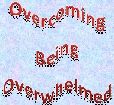 Overcoming Being Overwhelmed: January 2014