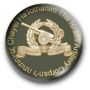 Israel Defense Forces,logo,badges and wallpaper 3D-HD: IDF badge button ...