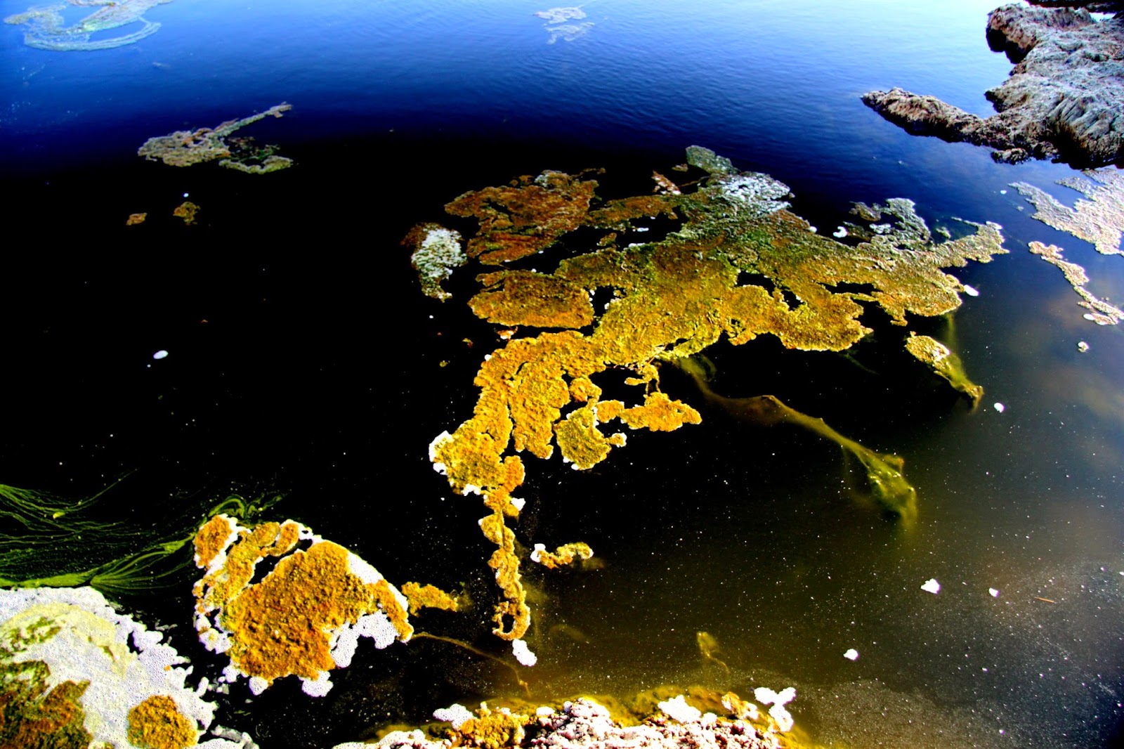 Foro Claridade: Cambio climático, Tecnología y Supervivencia. Reto ...