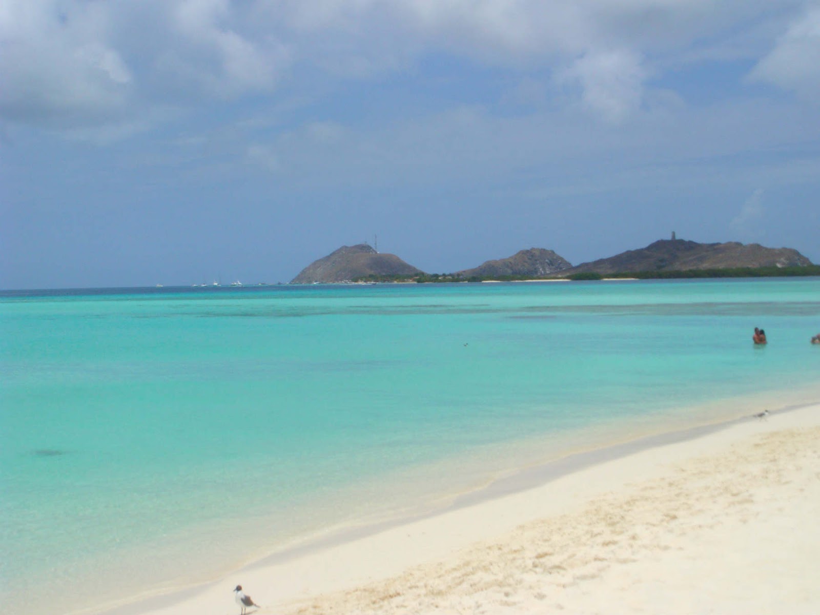 As praias de Los Roques, na Venezuela - Renata Viaja...