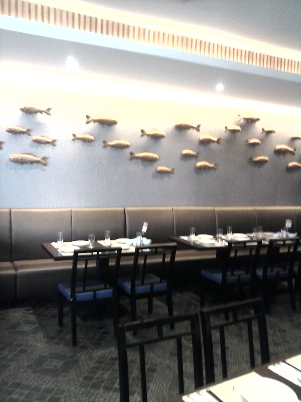 Viajeroking: Modern Shanghai