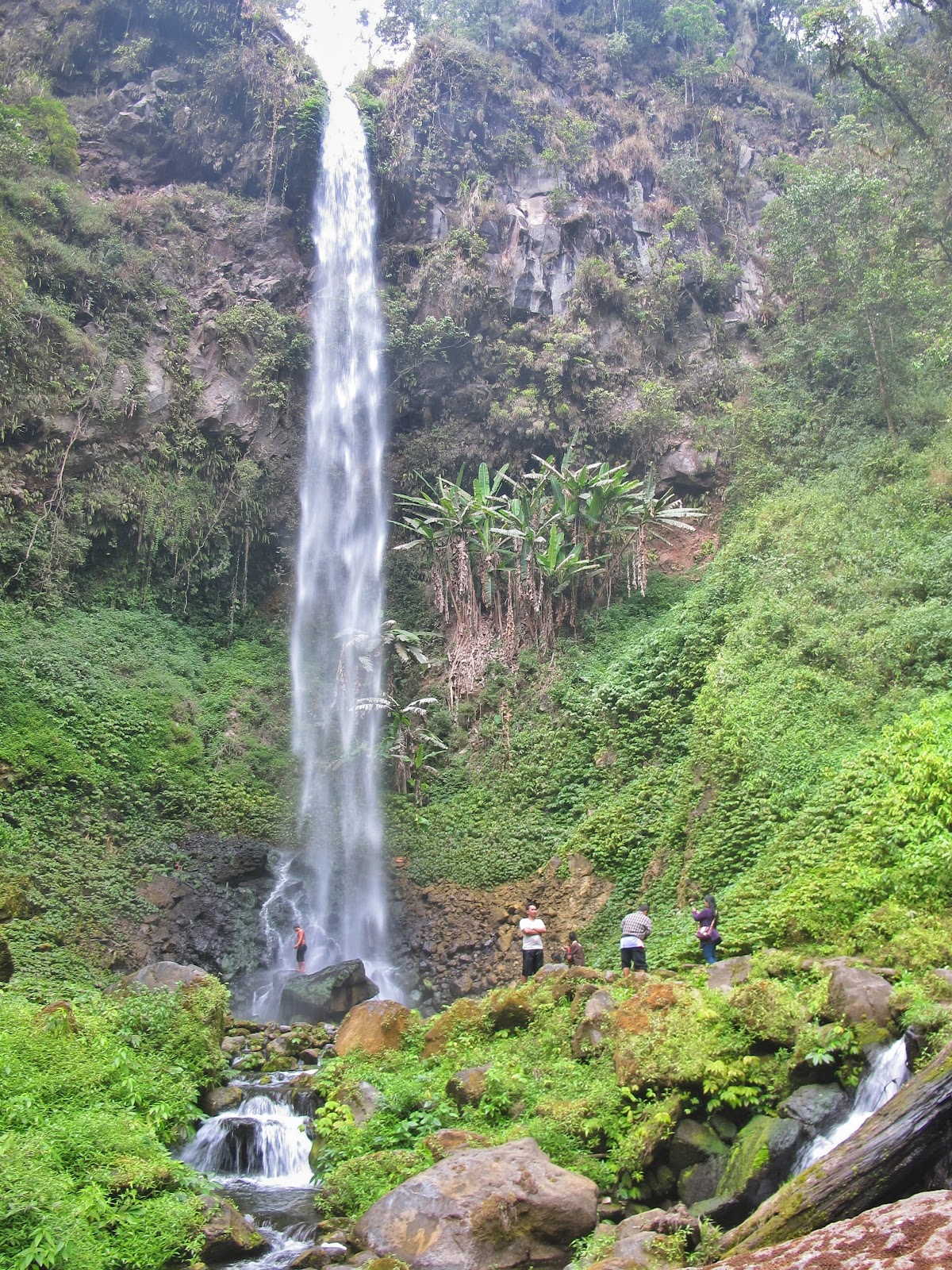 My Time Capsule: 2015 In A Nutshell