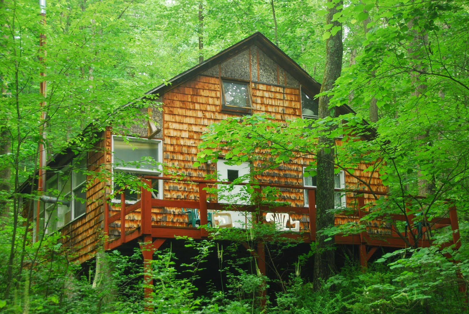 Ramblings around DC and Beyond