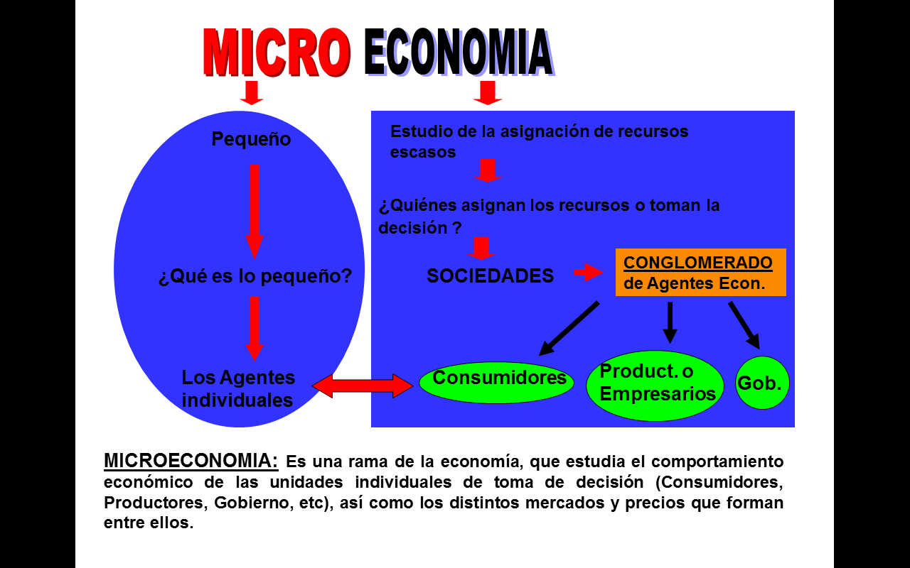 MICROECONOMÍA