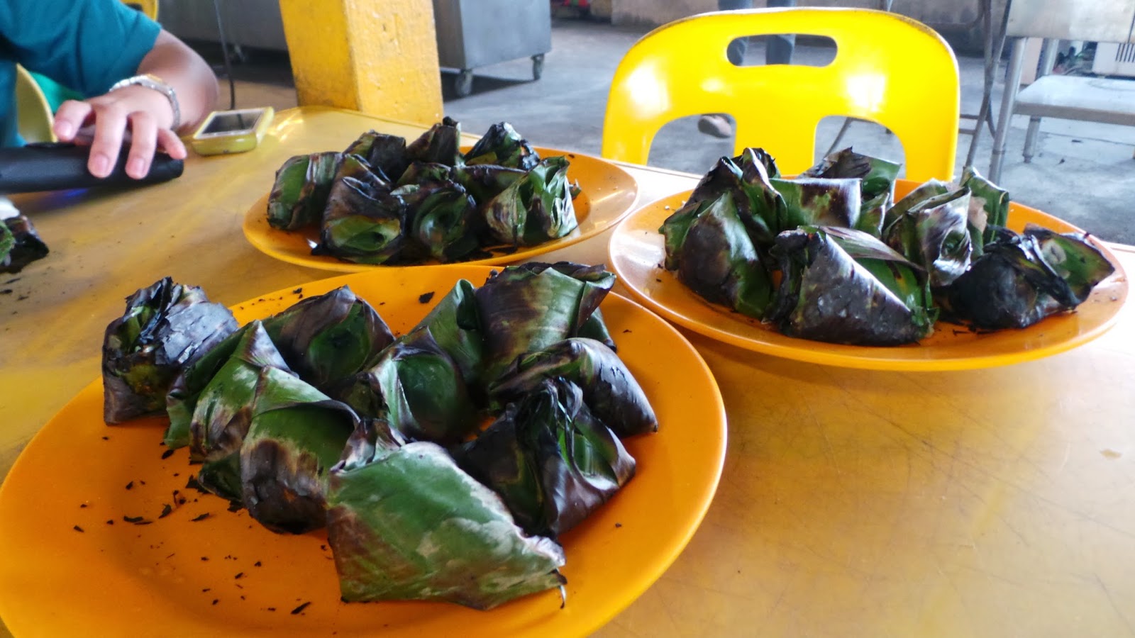 Neeja Shamiza: Terengganu : Aziz Satar