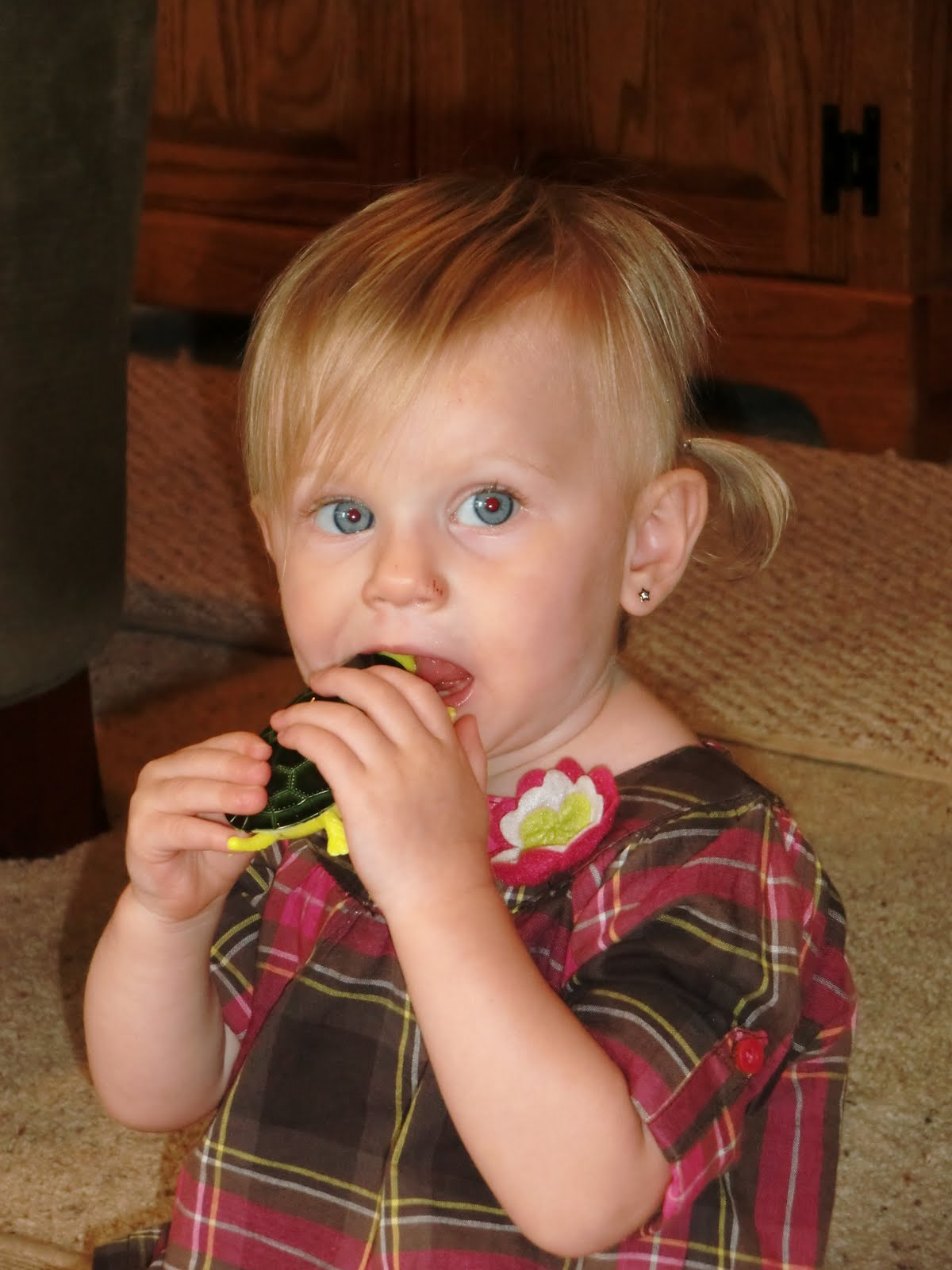 Madison Rose Pepper: Maddie's First Piggy Tails!