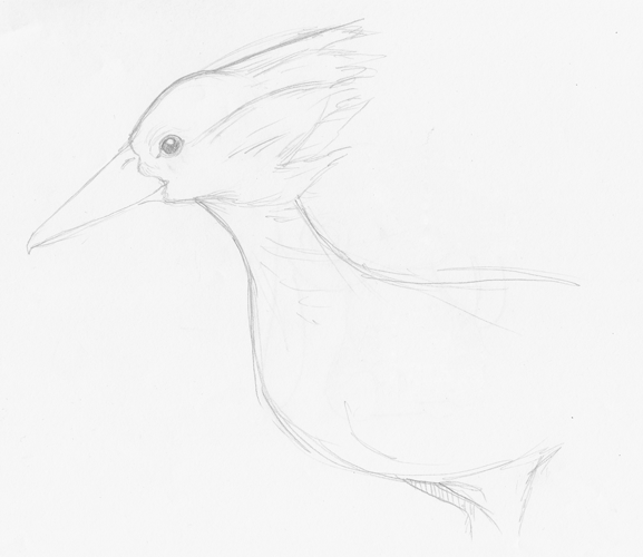 The Pictomancer: Day 69: Birds in mythology ~ Lightning Bird