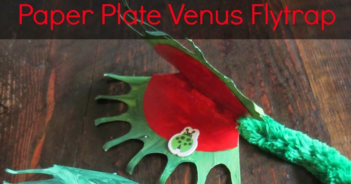 Relentlessly Fun, Deceptively Educational: Paper Plate Venus Flytrap