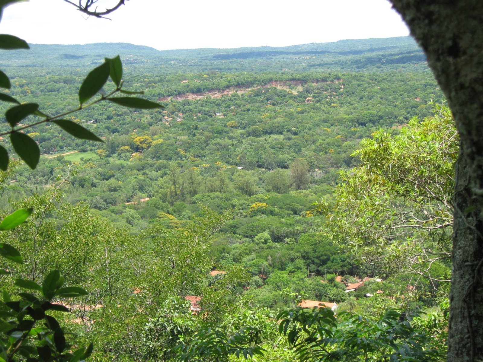 Wandern in Paraguay - Natur- und Tierwelt - WHITE NOISE