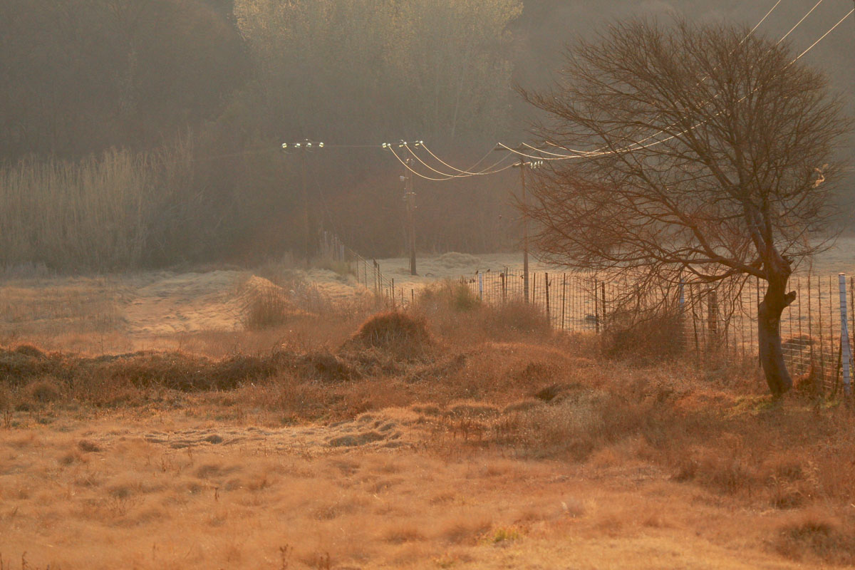 D & M Canon: A Dry Winter