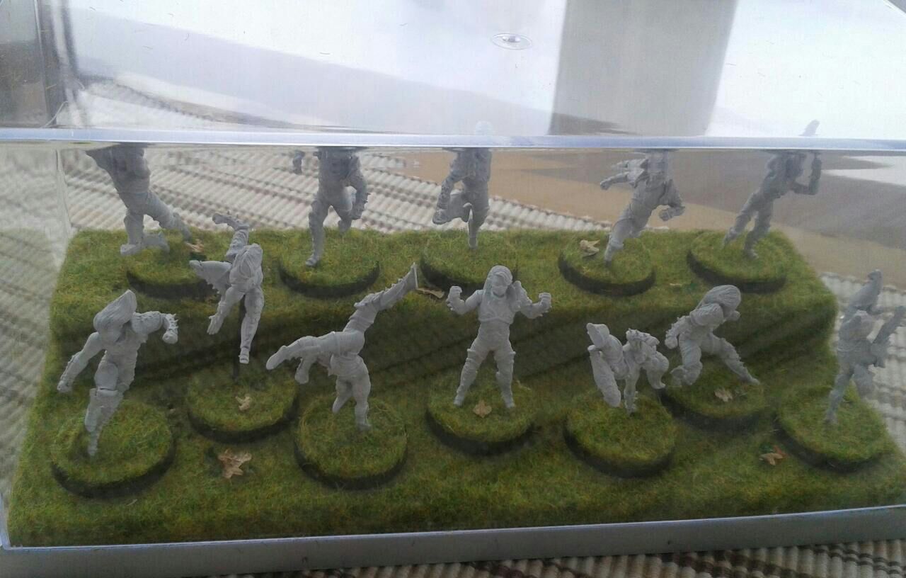 Two Times Two: Display Case for Blood Bowl