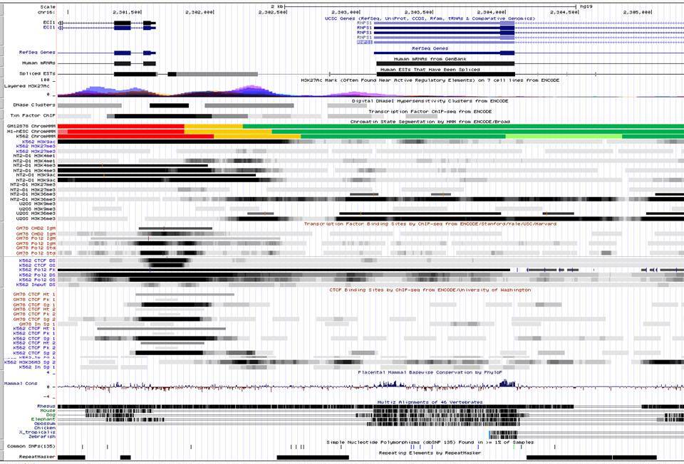 On Genetics: ENCODE: Data, Junk and Hype