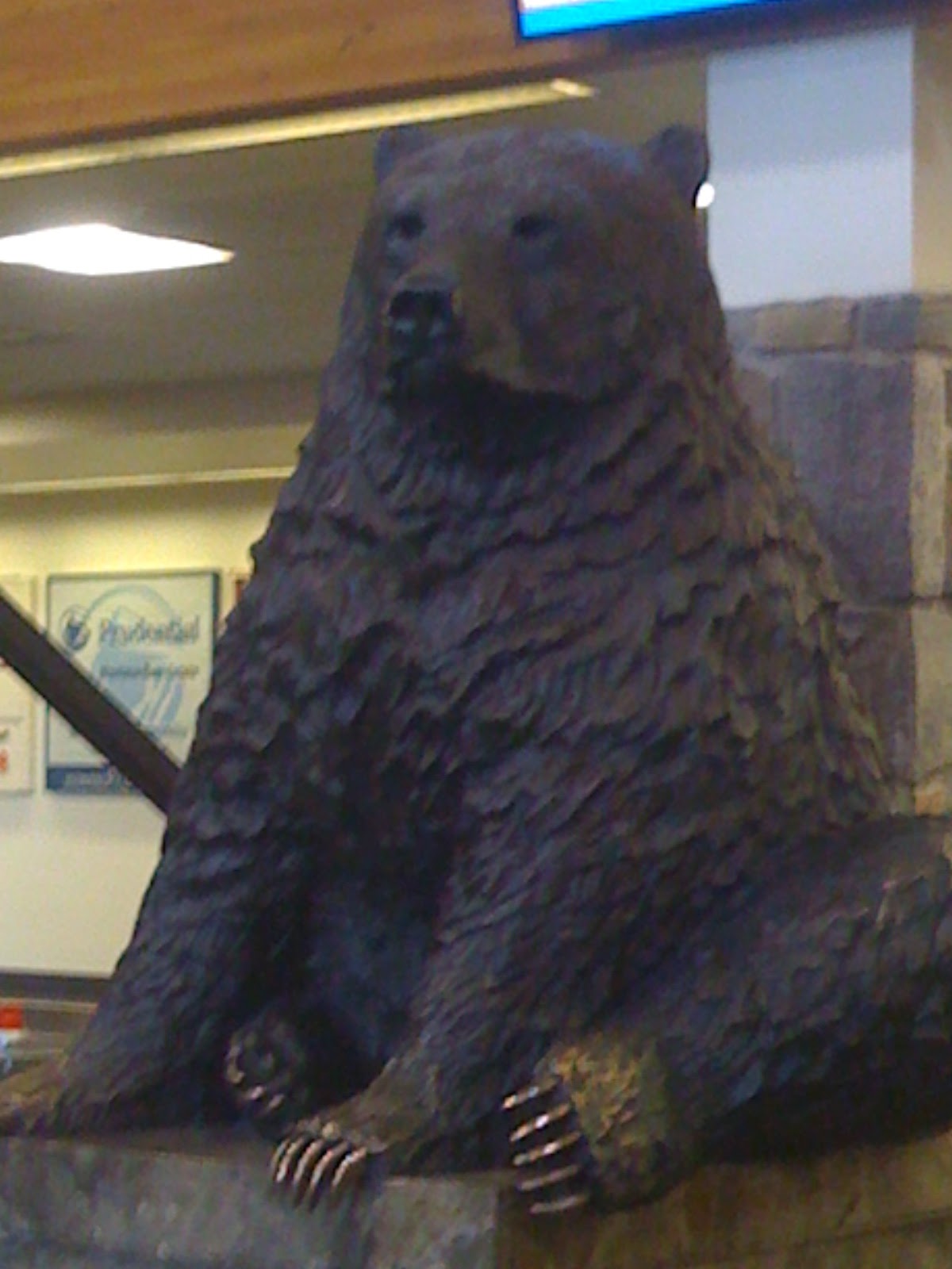 Our Free Trip to the Marlboro Crazy Mountain Ranch Winter 2013: Our Trip!