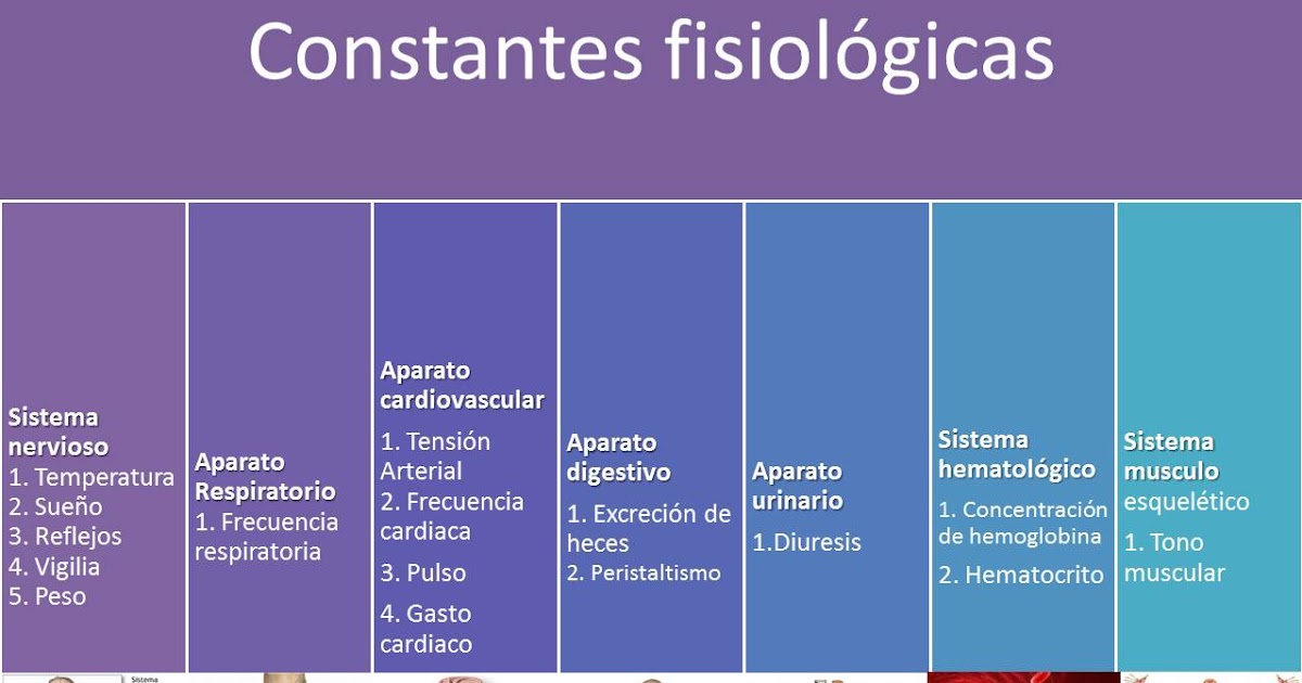 Portafolio de evidencias de la materia de Fisiología, Universidad ...
