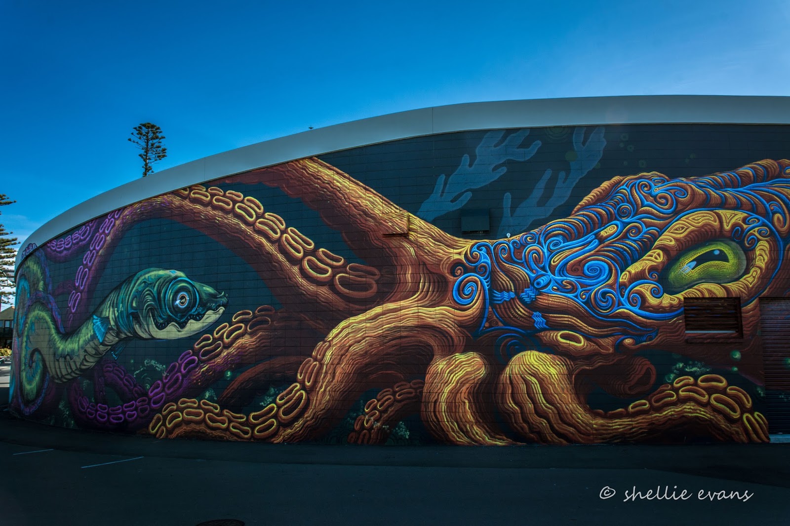 Two Go Tiki Touring: Sea Walls: Murals for Oceans- Napier, Part 2