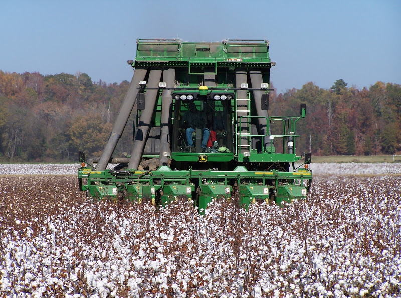 The Butlers: Little Cotton Pickers
