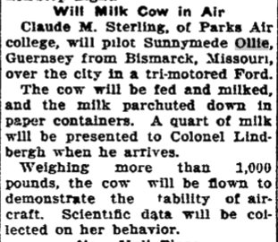 Occasions by sonjabegonia: Cow Milked While Flying in an Airplane Day