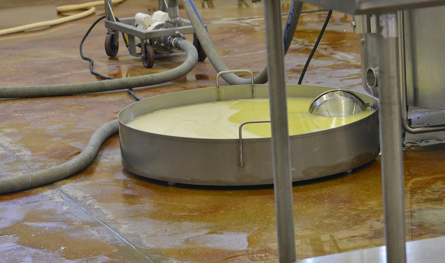 A school of fish: Heber Valley Artisan Cheese Field Trip