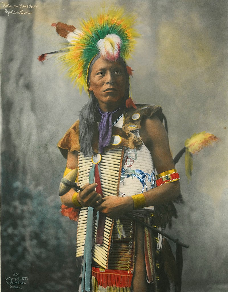 Sitting Bull: Sioux History