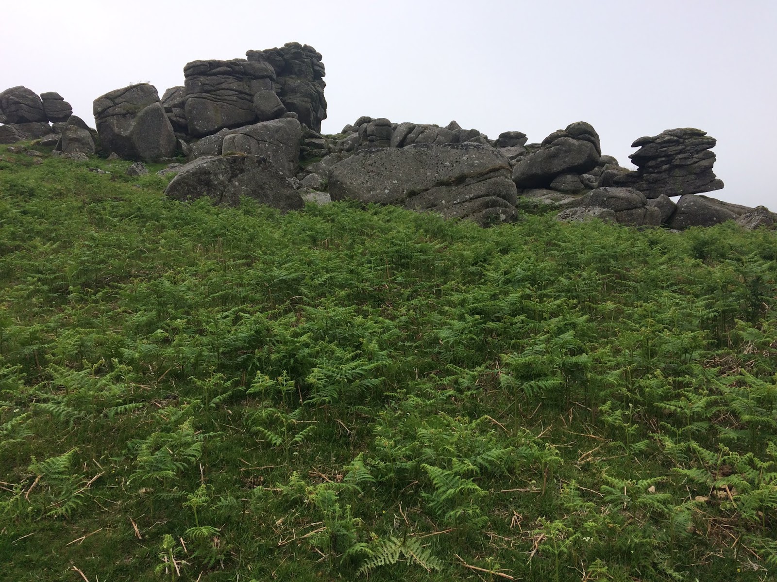 Max Piper - Tor Bagger: Dartmoor: Bonehill Down and clearing up some ...