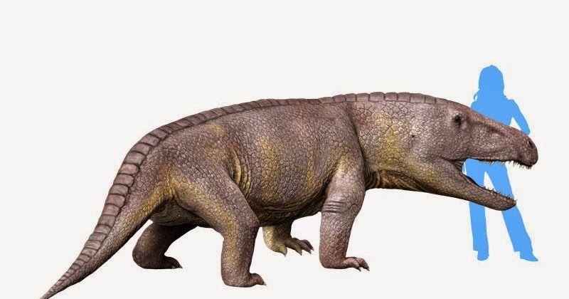Paleoexhibit: One big Triassic land predator: Erythrosuchus africanus