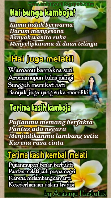 14+ Contoh Puisi Tentang Bunga Sakura Populer - Informasi Seputar ...