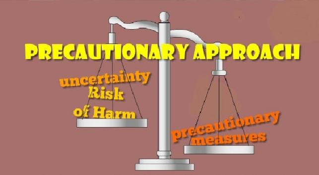 Environment Law - Precautionary Principle