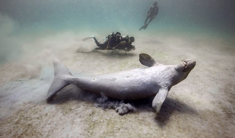 White Wolf : Pictures show ‘gentle giant’ sea cow relaxing underwater ...