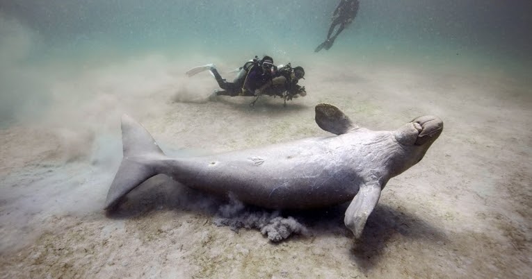 White Wolf : Pictures show ‘gentle giant’ sea cow relaxing underwater ...