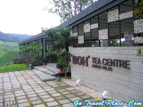 azHaNi deStiNatiOns woRLdWiDe: (12) BOH TEA CENTER,CAMERON HIGHLAND ...