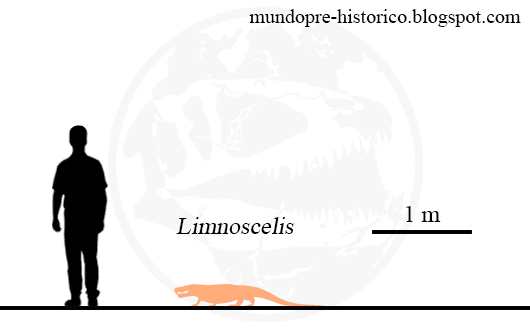 Mundo Pré-Histórico: Limnoscelis - os pés do pântano