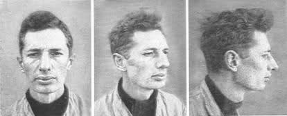 thefuzzysasquatch: The Peopling of British Isles II: The Bell Beaker ...