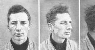 thefuzzysasquatch: The Peopling of British Isles II: The Bell Beaker ...