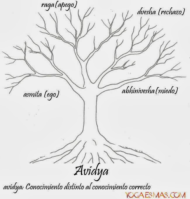 Sano, sano, requetesano: octubre 2013