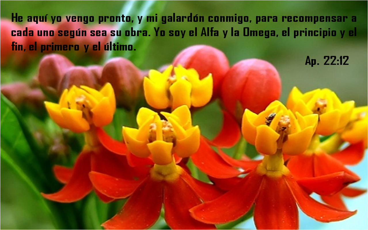 Palabra de Dios: Jesús viene pronto