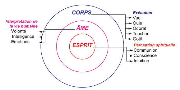 blogetude: esprit, âme, corps